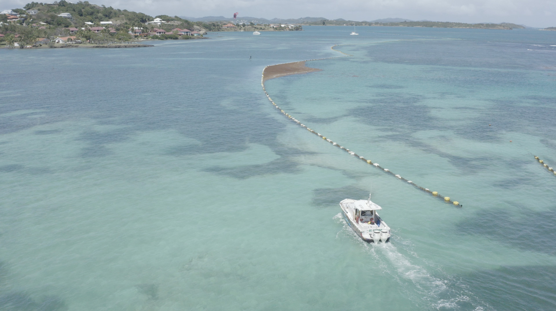 Fiche 4 : La rétention et la collecte des sargasses en mer | Caribbean ...